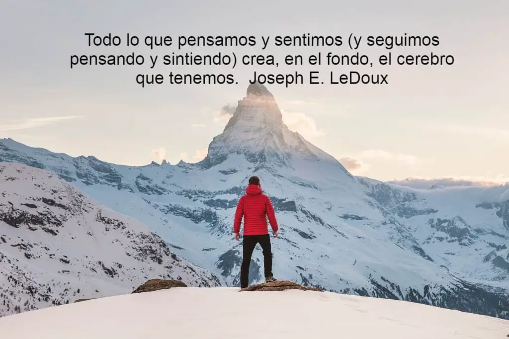 Joseph Ledoux - Su Vida y Teoría - La Autoestima